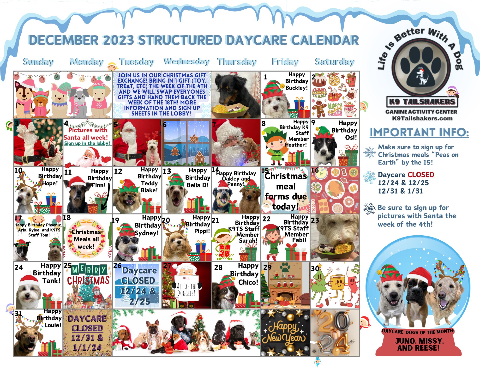 Structured Daycare | K9 Tailshakers, Inc.